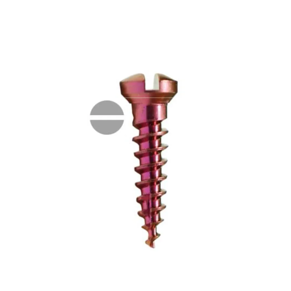 Buy SK Surgicals Titanium Single Slot Screws 1.5mm | Dentalkart