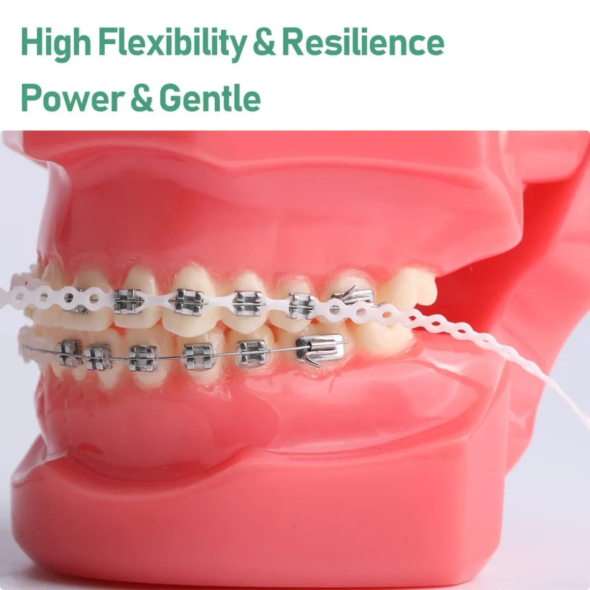 U Orthodontics E-Chain Continuous Long White