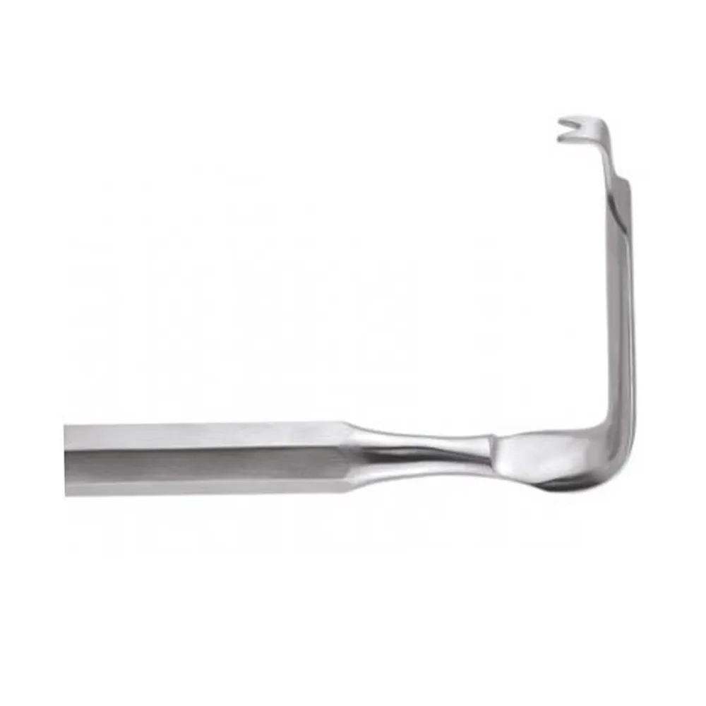 Buy GDC Austin Cheek Retractor With Handle (TRA1) Online At Best Price ...