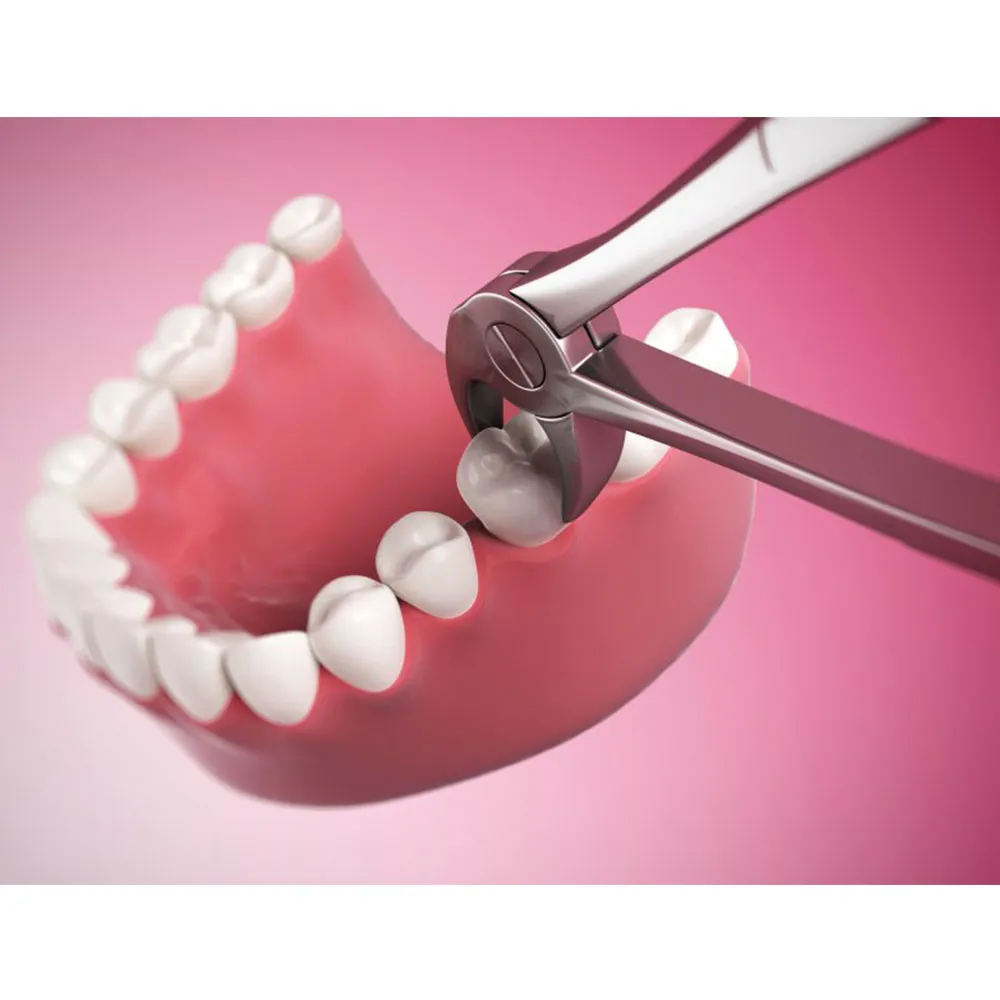 Waldent Atraumatic Extraction Instruments Forceps Kit Set of 6 - Coarse ...