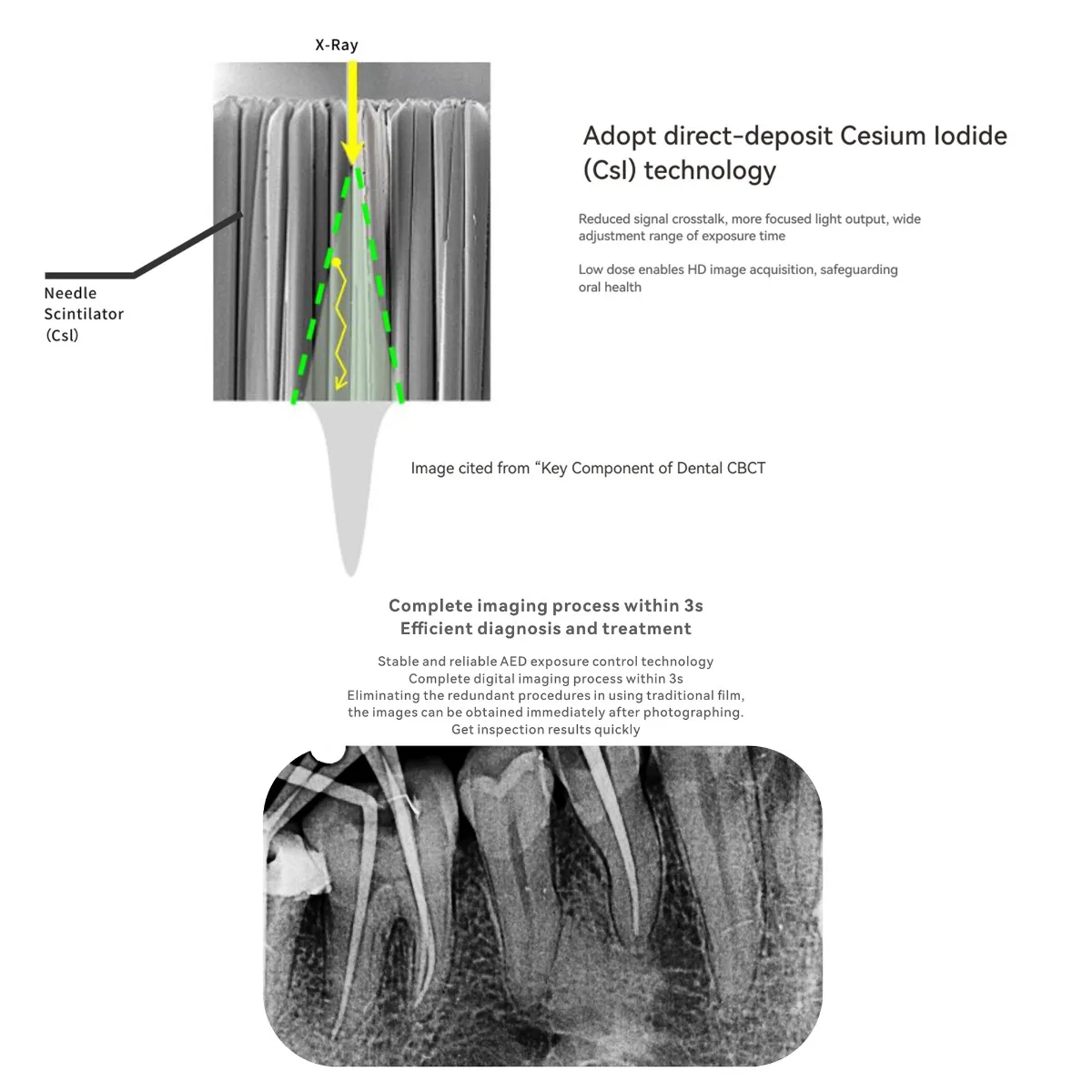 Buy Waldent RTA i-Sensor RVG by Woodpecker | High-Quality Dental ...