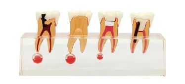 Best Clinical Problem Solvers | Expert Solutions for Clinical ...